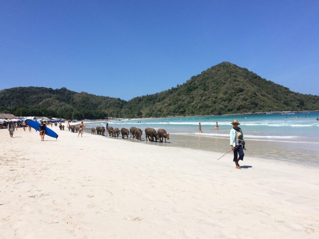 Selong Belanak Beach and South Lombok - The Travel Loving Teacher Selong Belanak Beach and South Lombok - The Travel Loving Teacher
